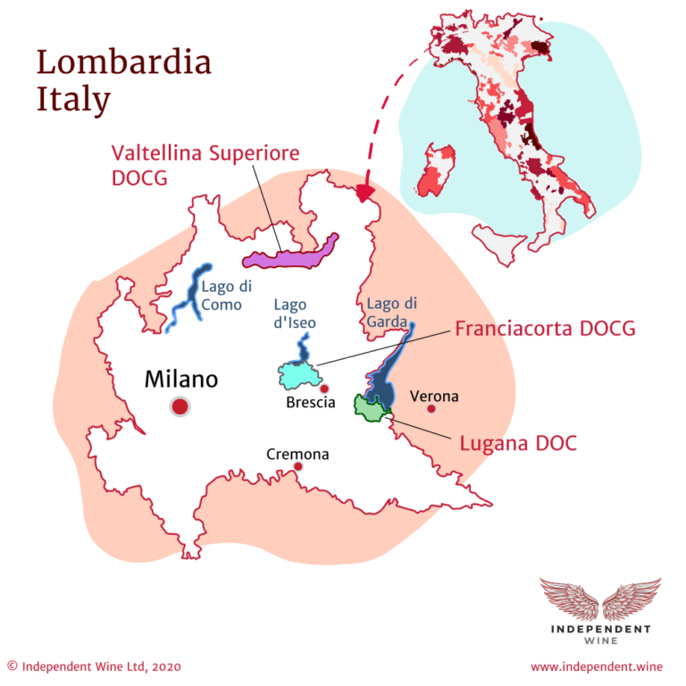 The complete guide to Italian wine with maps and tasting notes