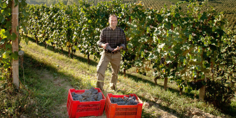 Barolo Wine: rules, best vintages, how it's made, how much to pay