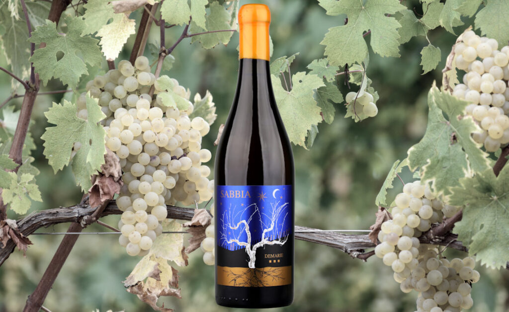Orange wine Sabbia named as one of the top 100 Italian wines of 2021